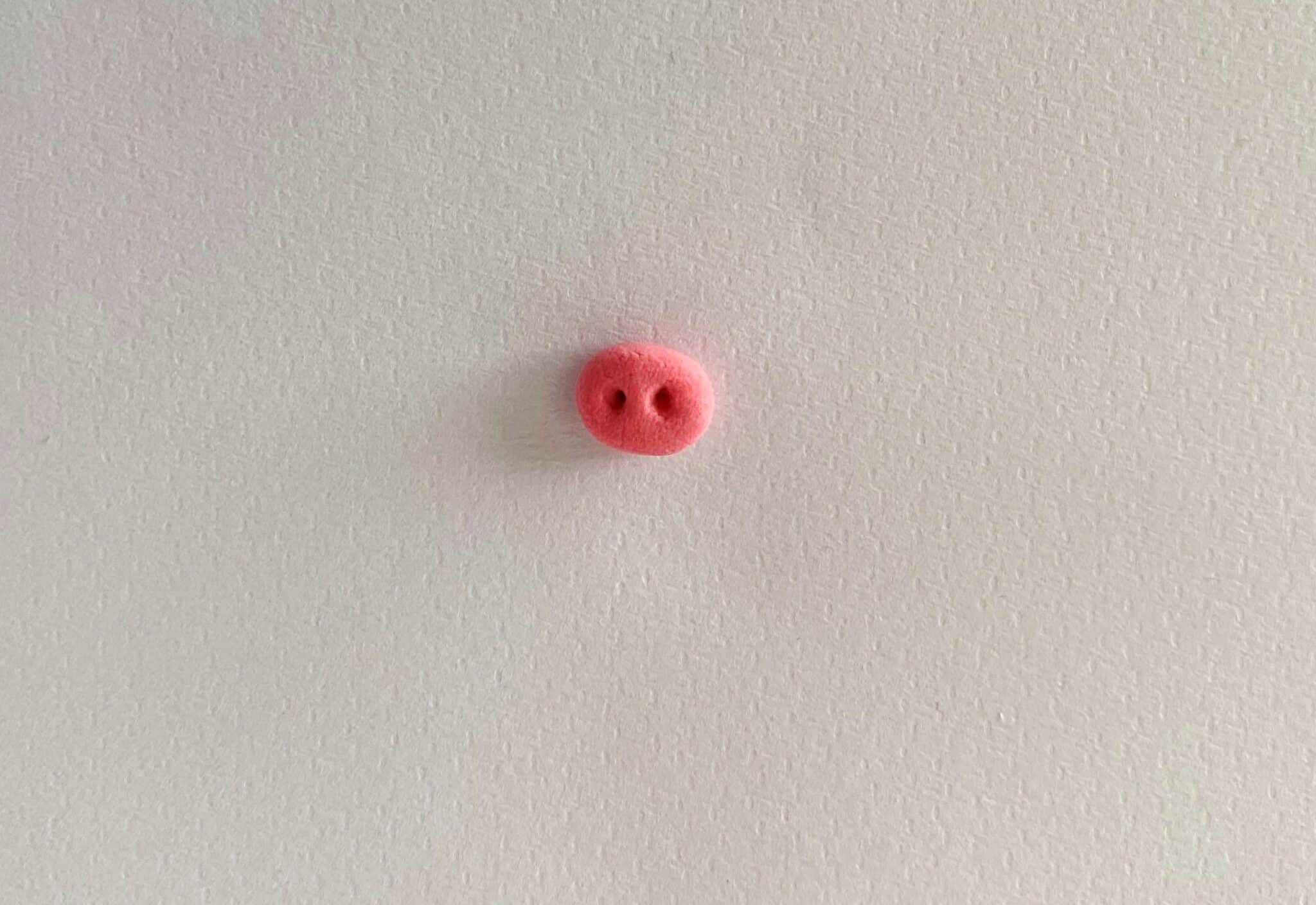Clay Pig Craft