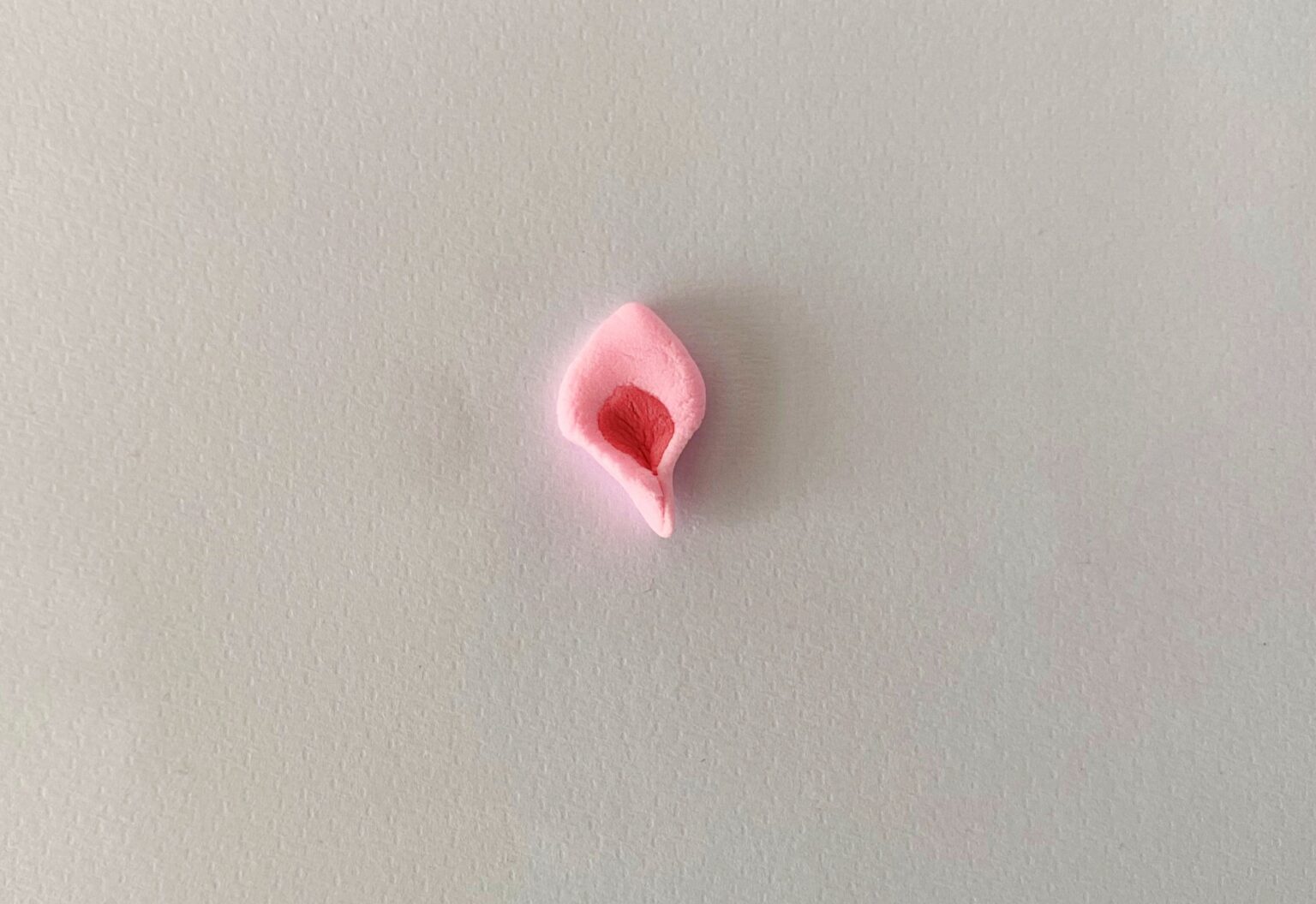 Clay Pig Craft