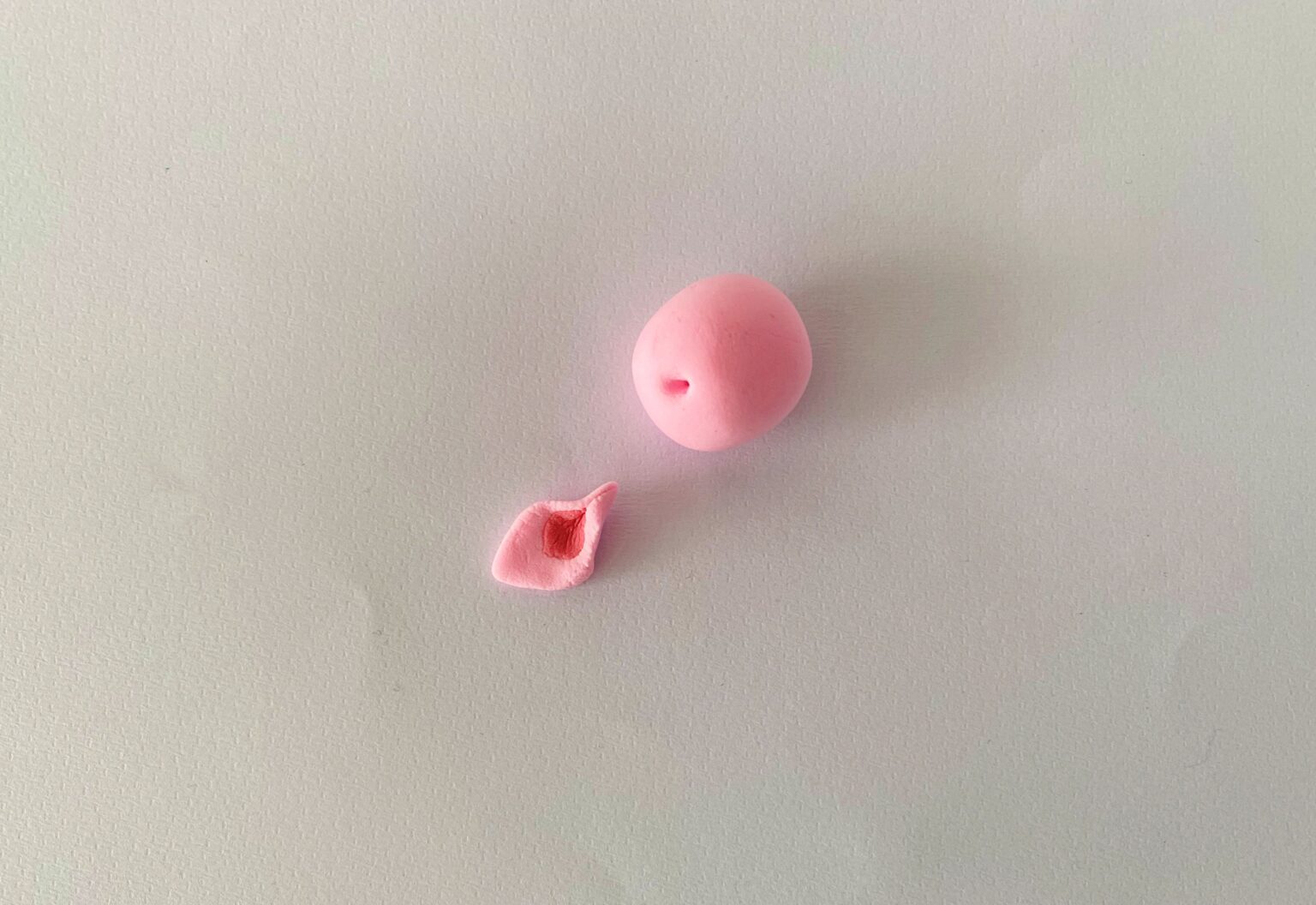 Clay Pig Craft
