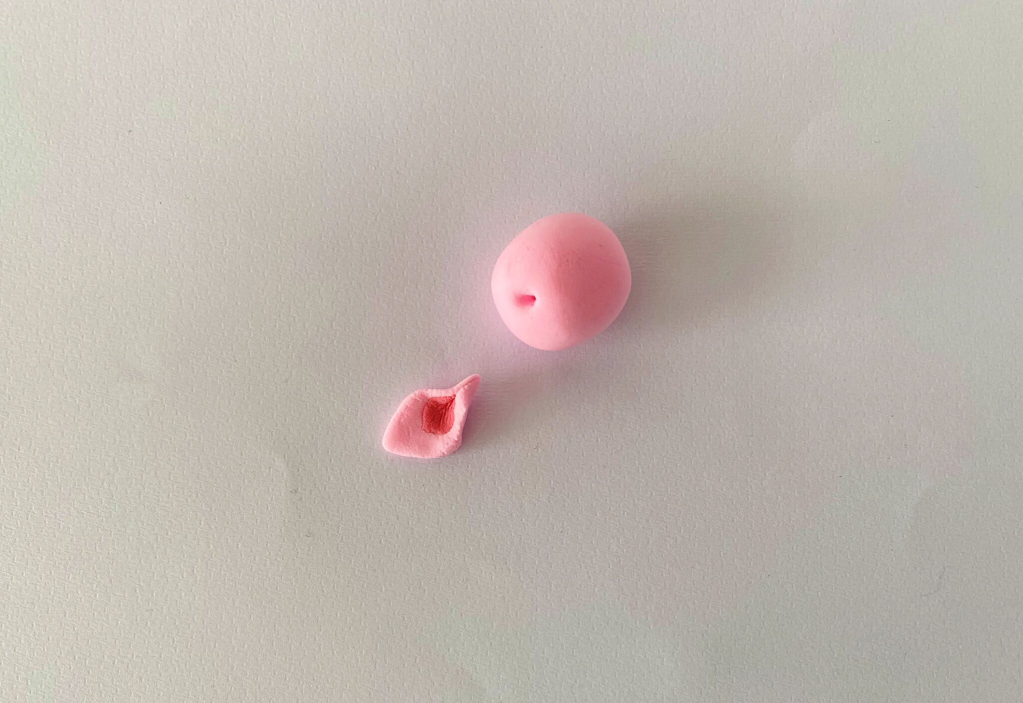 Clay Pig Craft