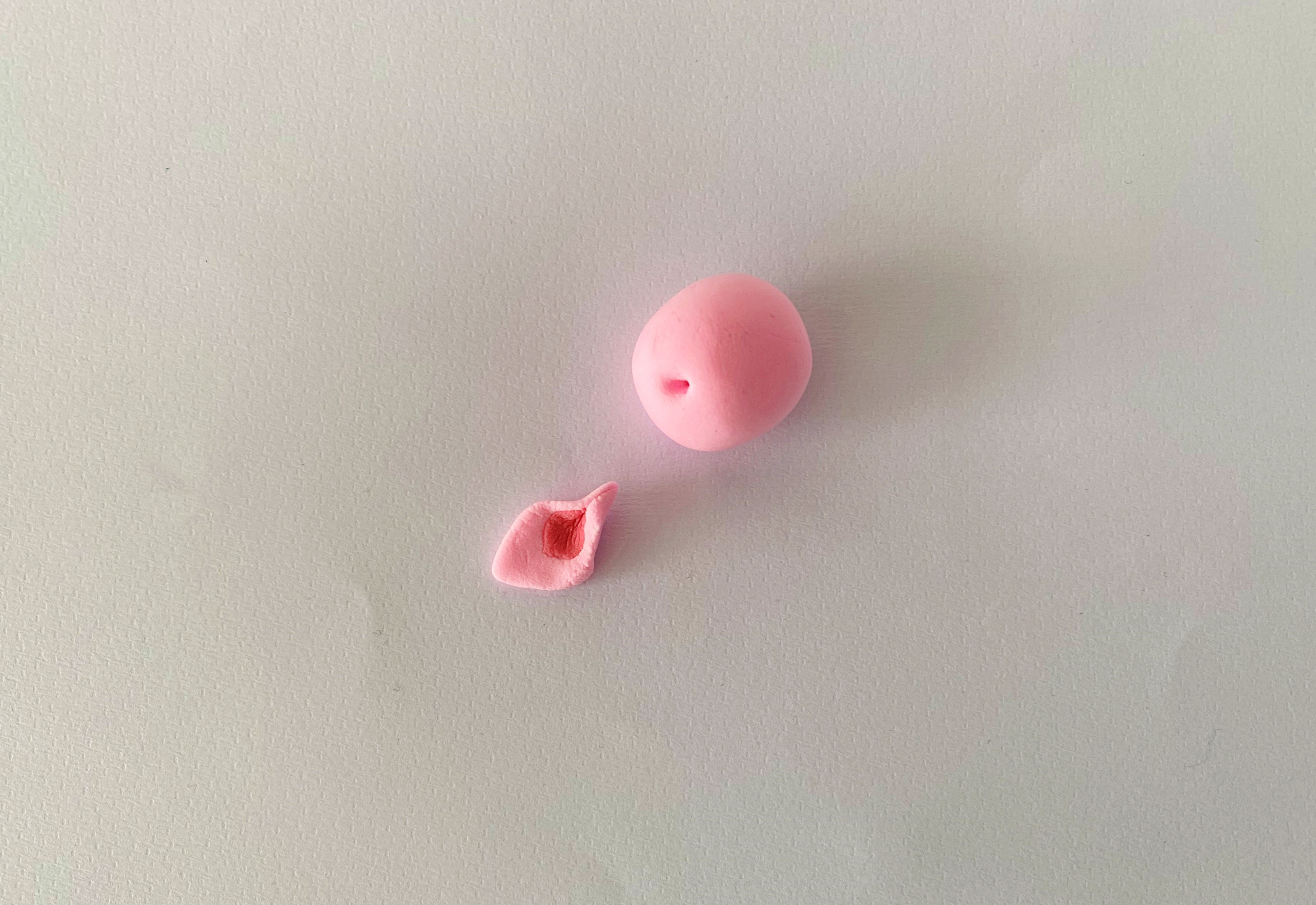 Clay Pig Craft