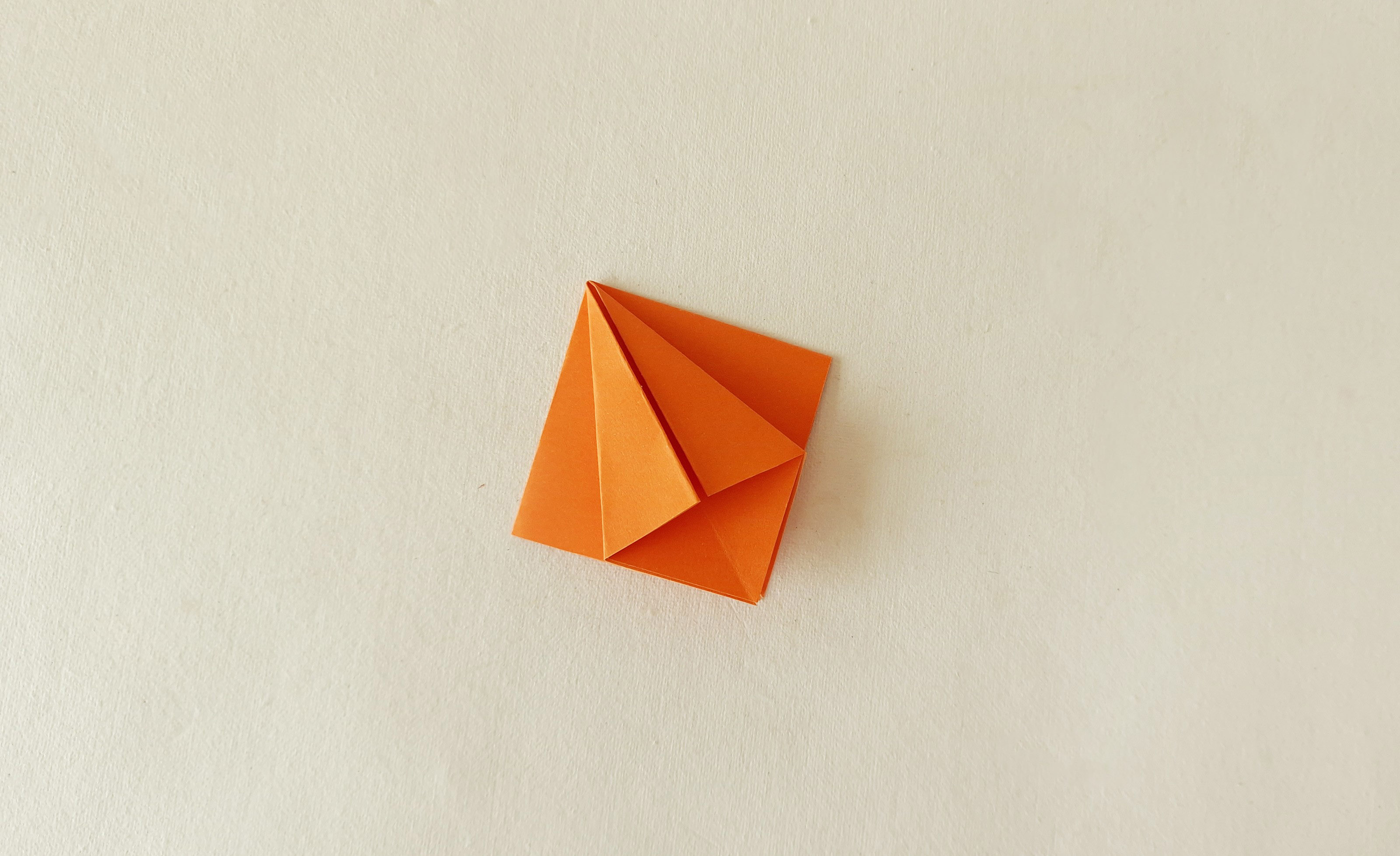 Origami Fish