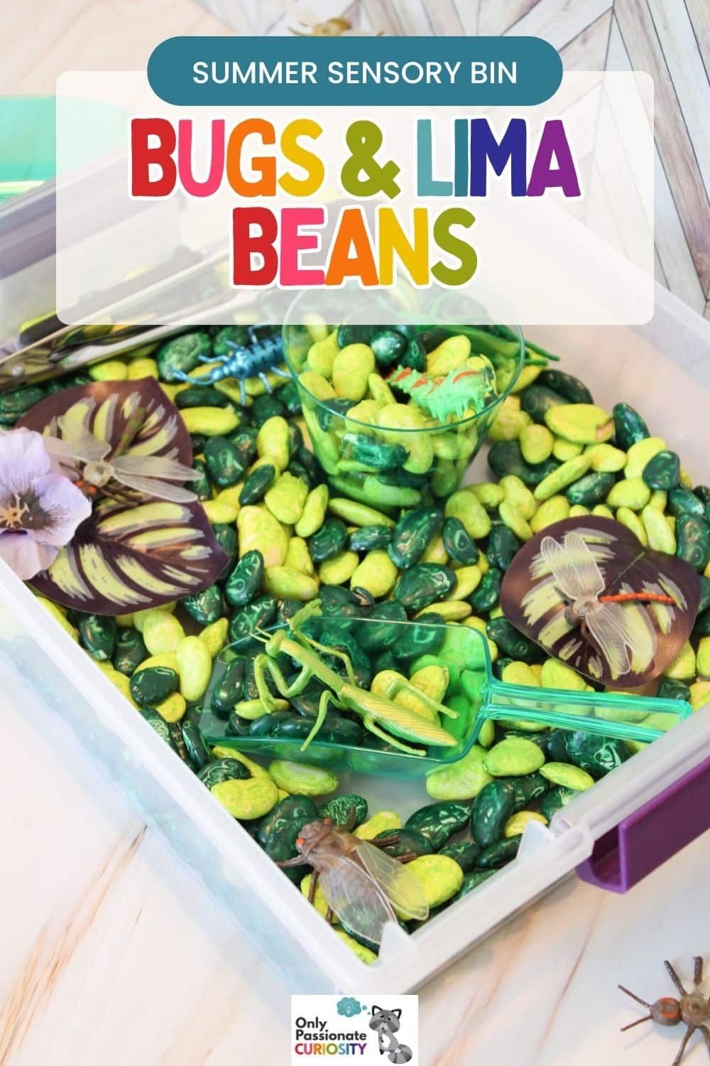 Summer Sensory Bin
