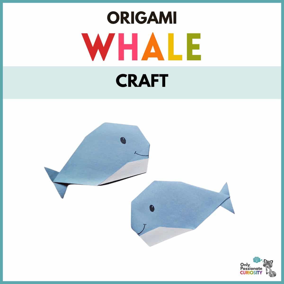 Origami Whale Craft