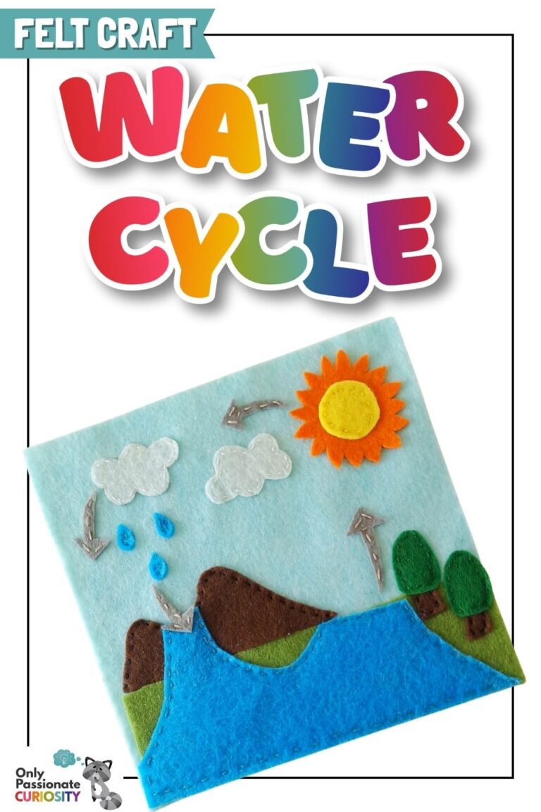 Felt Water Cycle Craft