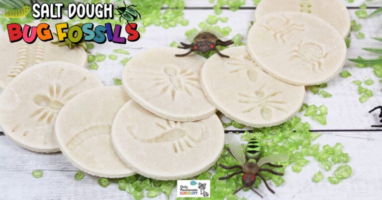 Salt Dough Bug Fossils: A Fun August Homeschool Activity - Only ...