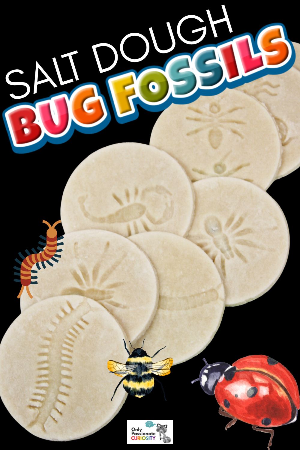 Salt Dough Bug Fossils: A Fun August Homeschool Activity - Only ...