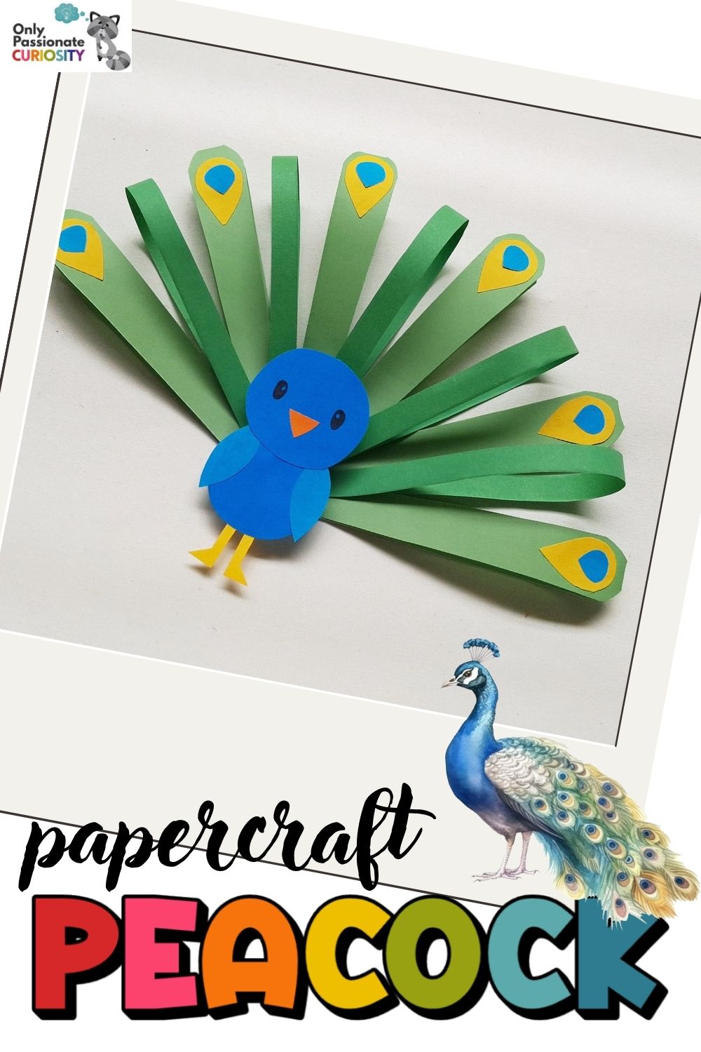 Papercraft Peacock
