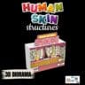 Human Skin Structures 3D Diorama